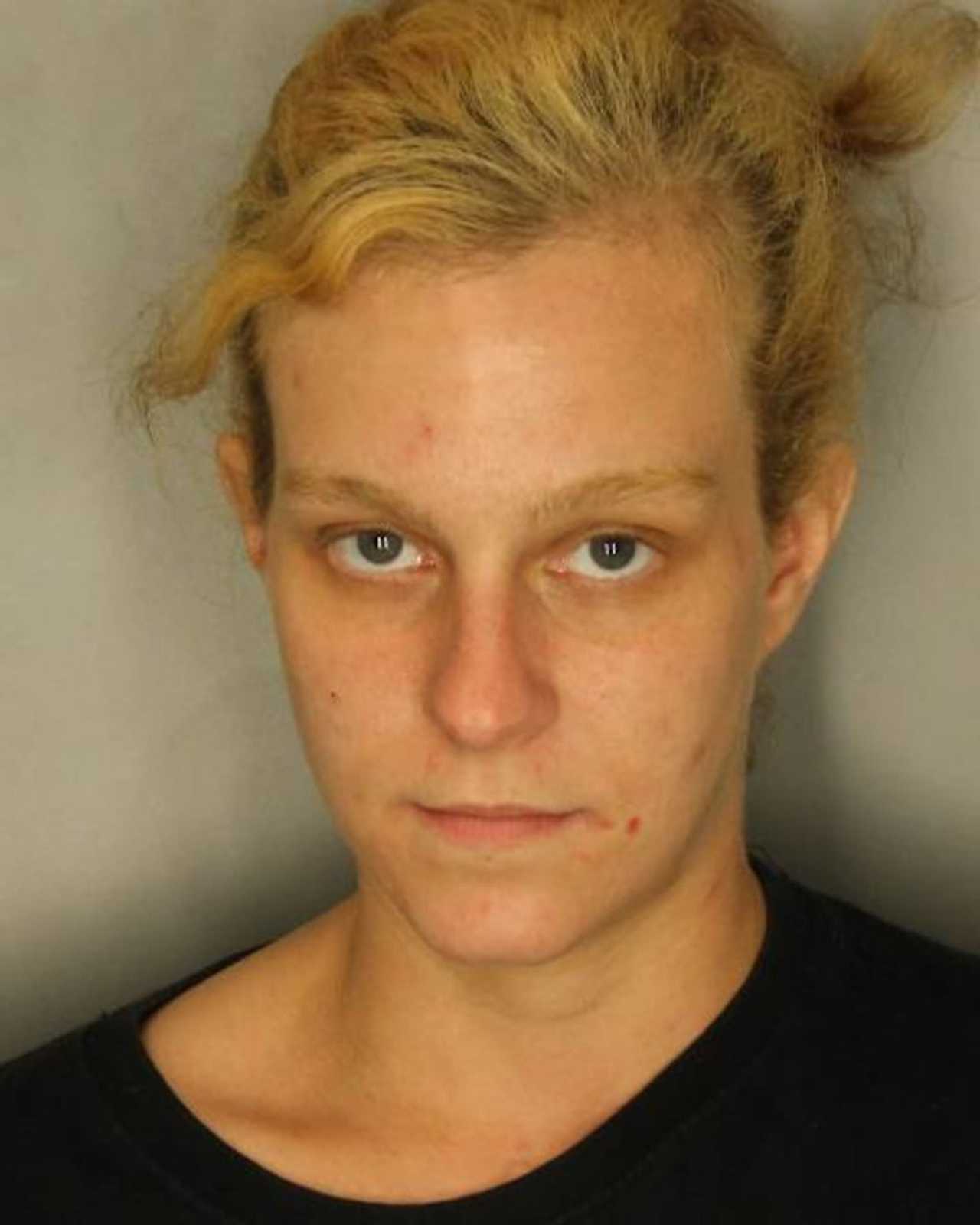 Four Women Three Men Charged In Hudson Valley Prostitution Bust