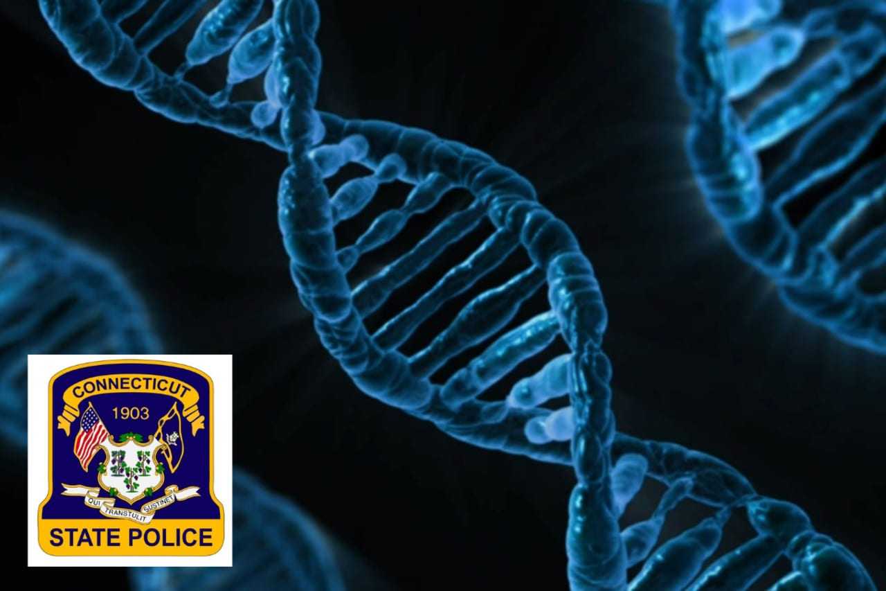 DNA Drive Event At University Of New Haven May Help ID Remains Found In ...