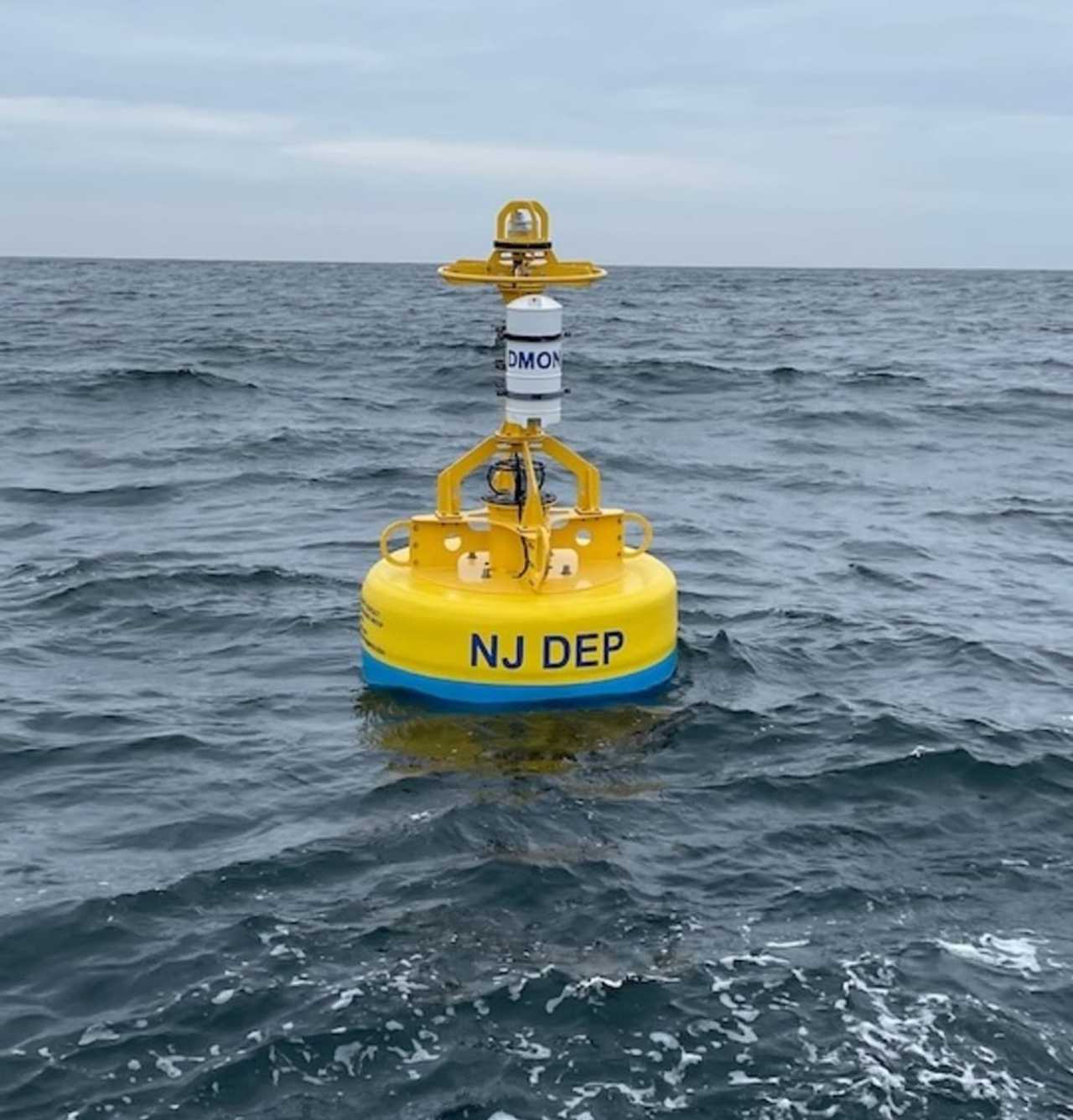 Whale-Tracking Buoy Aims To Prevent Collisions With Boats Off New ...