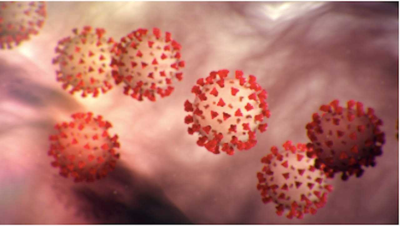 Covid-19: Omicron Now Dominant Variant In US; CDC Reveals Percentage Of ... Covid-19: Omicron Now Dominant Variant In US; CDC Reveals Percentage Of ...