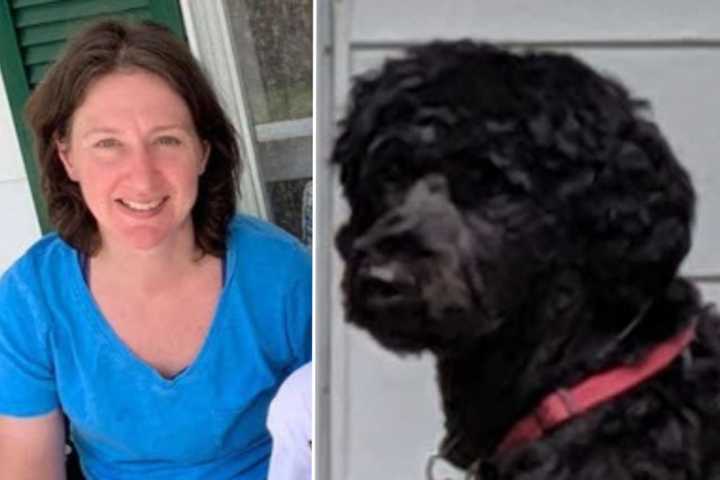 New Update: Albany Woman, Dog Missing For 2 Weeks Found In NYC ...