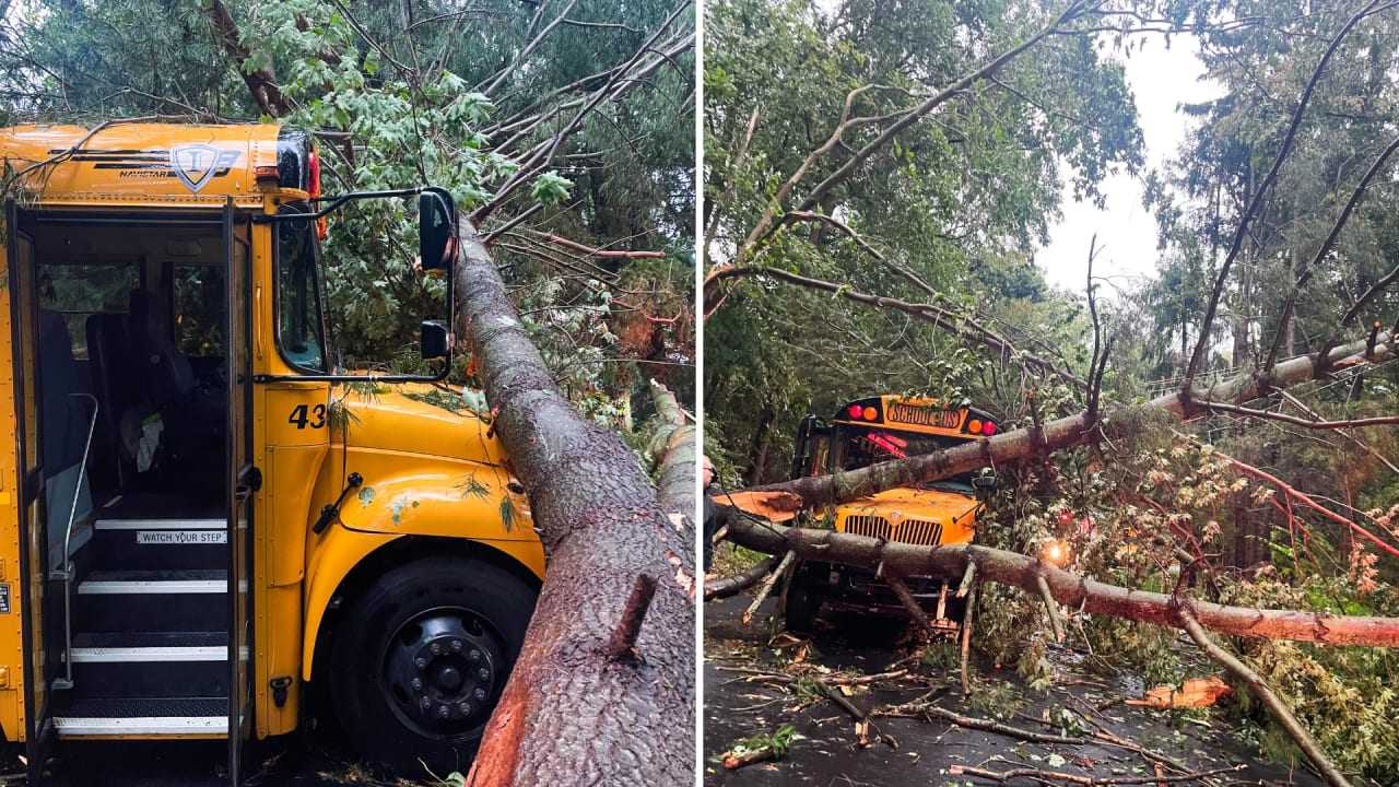 New Update: Fallen Tree Hits School Bus, Leaves 25 Children Stranded In ...