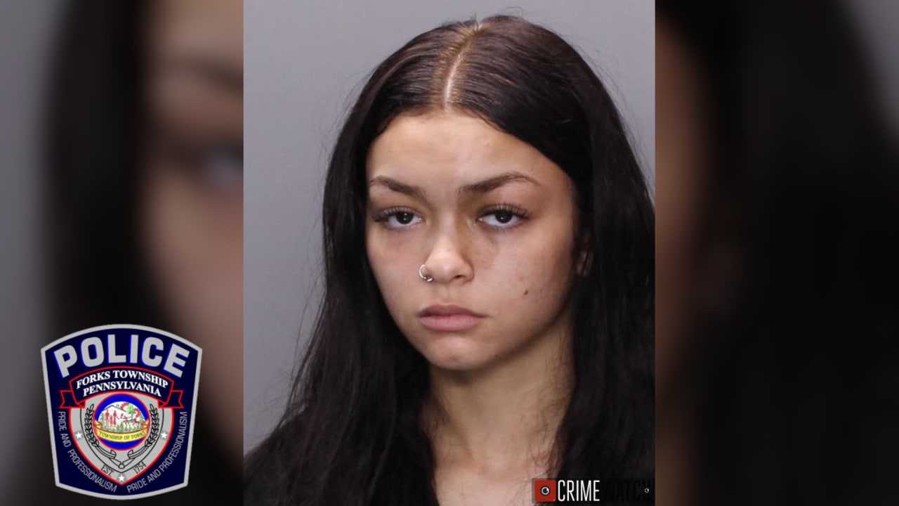 Lehigh Valley Woman Hit And Scratched Officers Police Say Bucks
