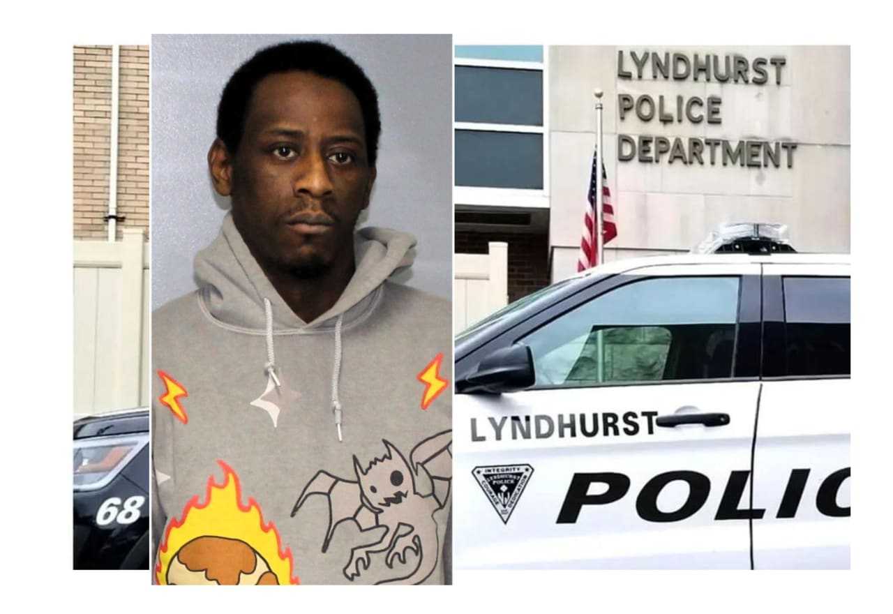 Familiar Face: Serial Porch Pirate Spotted By Lyndhurst Crossing Guard ...