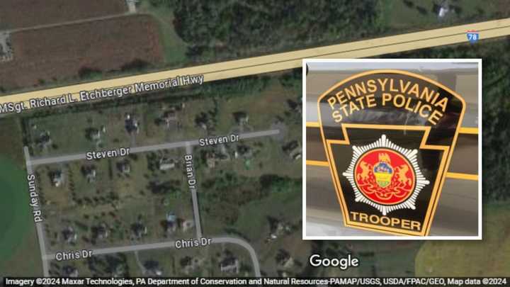 Dog Shot With BB Gun In Berks County: PSP | Berks Daily Voice Dog Shot With BB Gun In Berks County: PSP | Berks Daily Voice