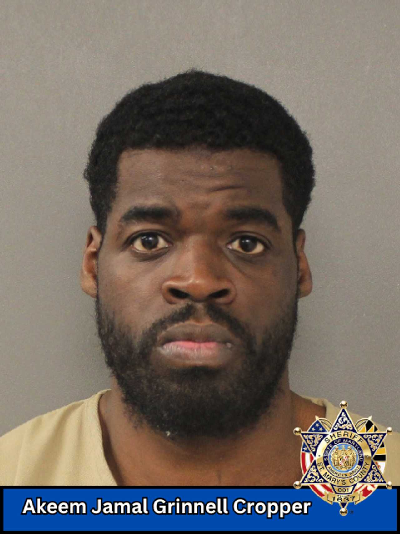 Convicted Felon Threatened Victim With Handgun In Maryland, Sheriff ...