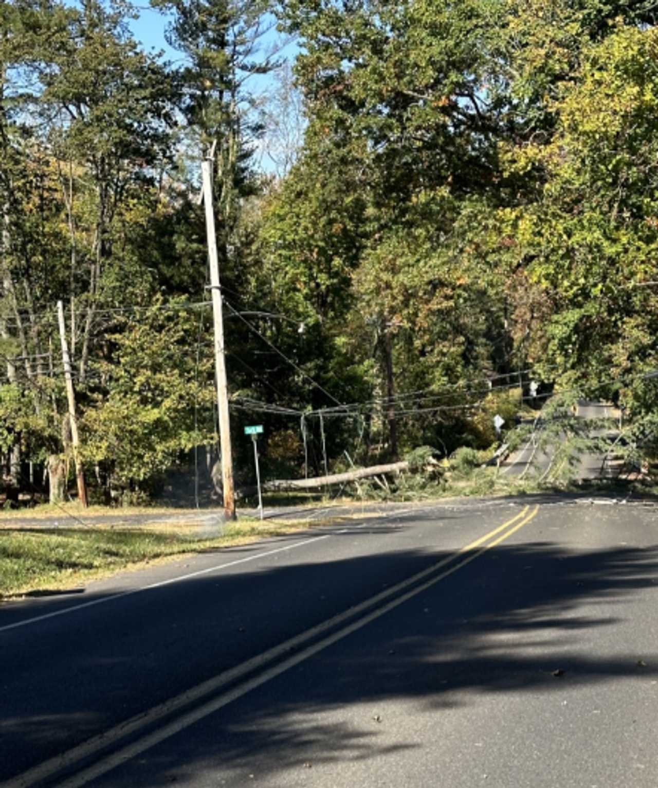 Fallen Tree Pulls Powerlines Down Closing Road In Doylestown: Police ...