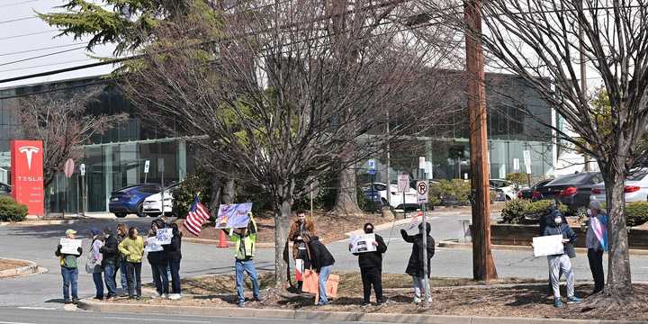 Tesla Owners Disguise Vehicles As Stock Craters, Trump Calls Elon Musk ...