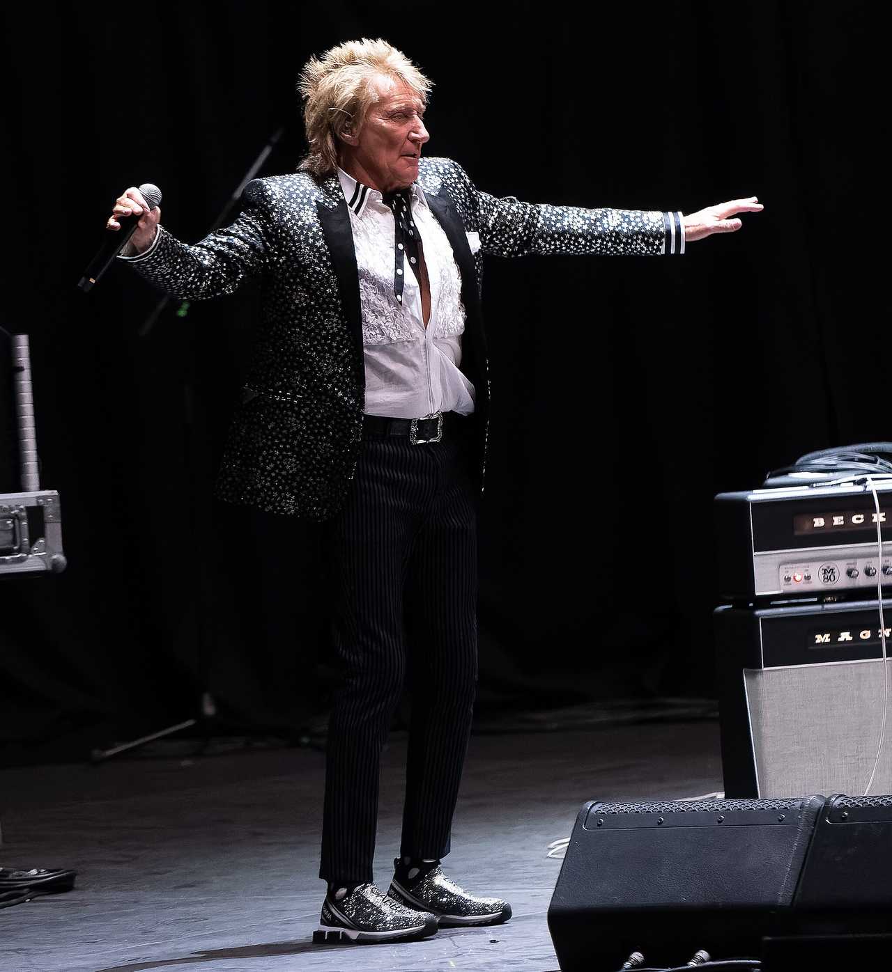 Do Ya Think He’s Sexy? Rod Stewart’s 2025 Tour Brings the Hits | Dudley ...