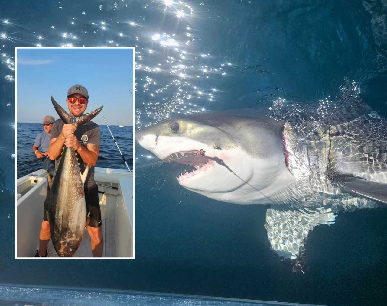 NJ Fisherman Describes Reeling In 5.5-Foot White Shark By Himself ...