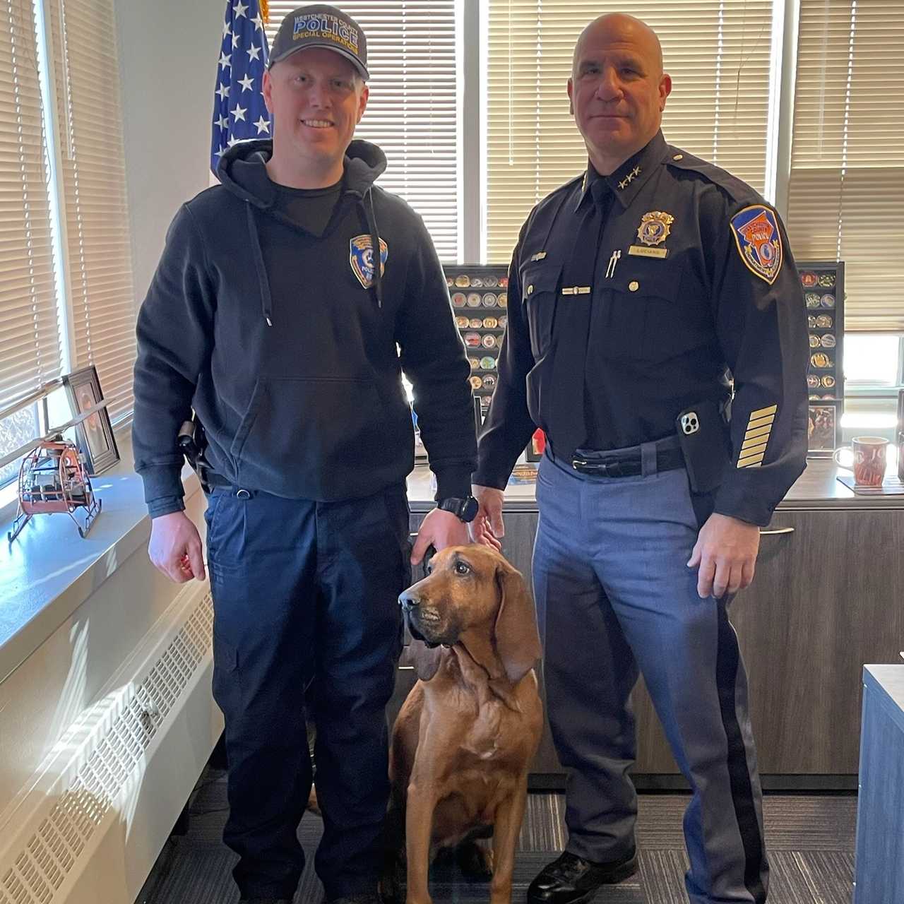 Westchester K9 Hangs Up Her Leash After Sniffing Out Justice For Decade | White Plains Daily Voice