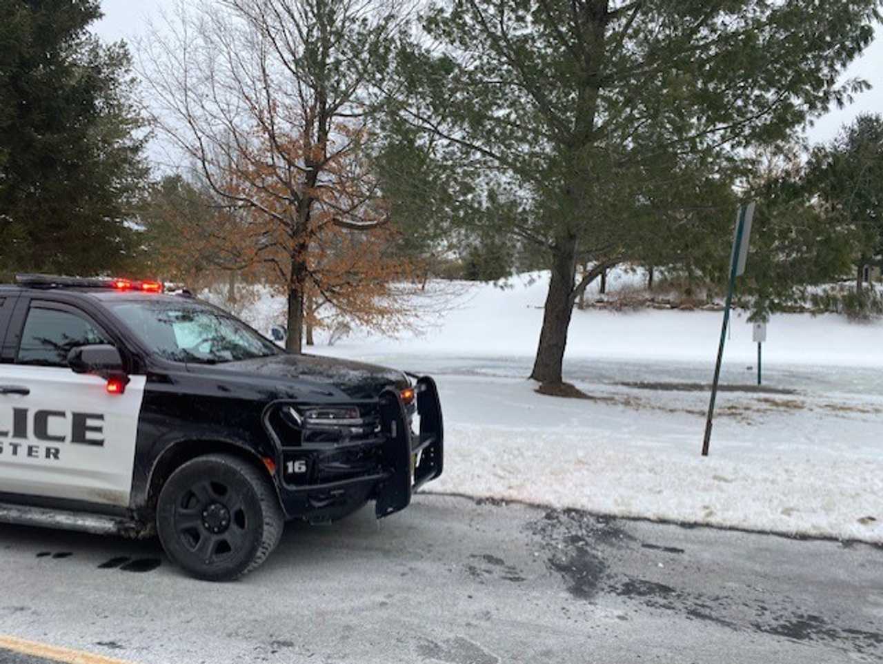 Officer Hospitalized After Rescuing Husky That Fell Through Ice: Police ...