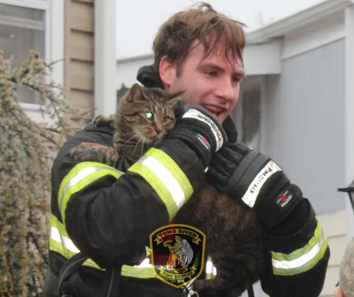 Firefighters Rescue Five Cats From Toms River Mobile Home Fire | Toms ...