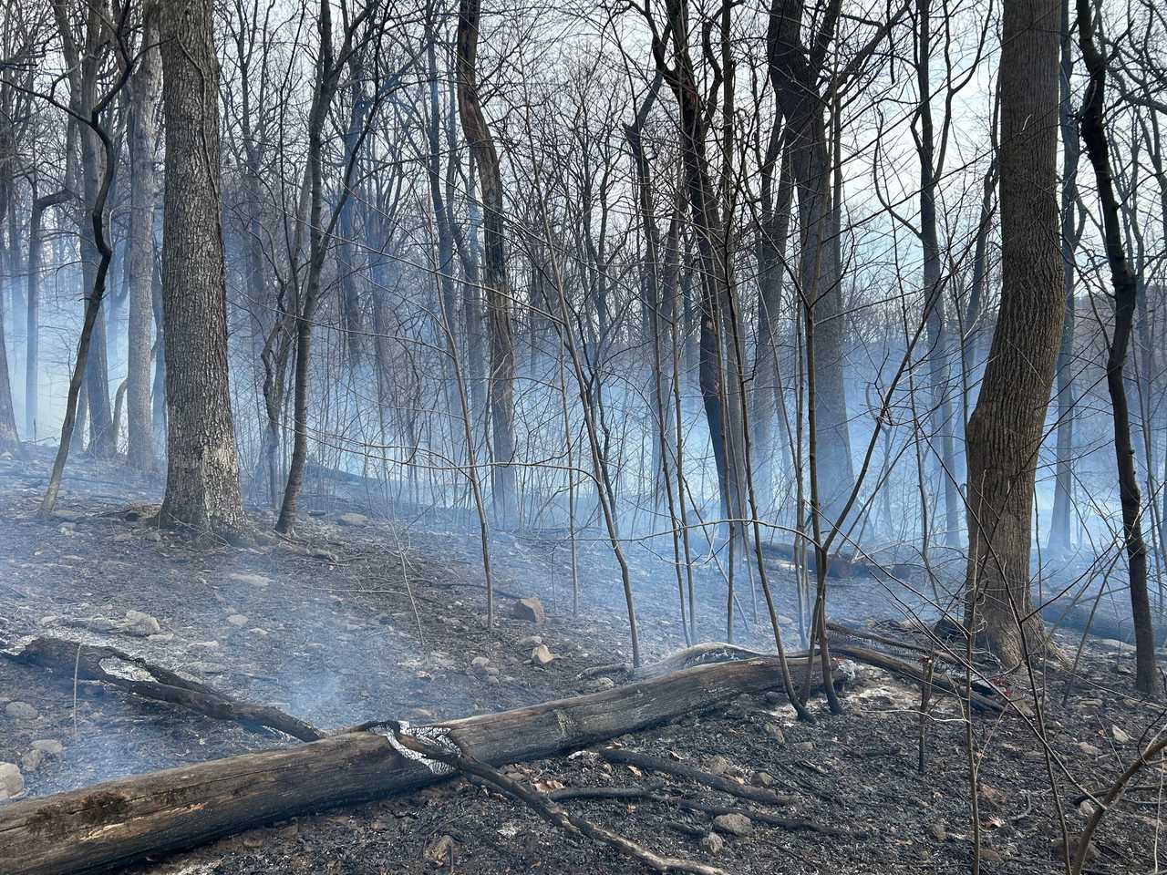 Wind-Driven Wildfire Scorches 20 Acres In Northern Maryland Before ...