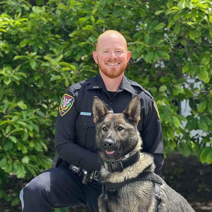 Police K-9 Struck By Officer Chasing Suspect In Virginia Dies ...