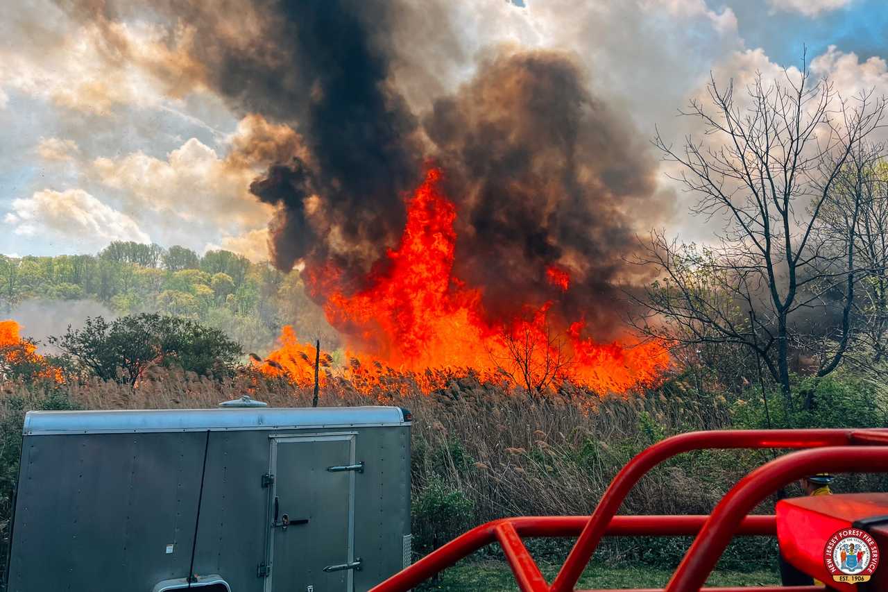 100-Acre Route 46 Wildfire Contained: NJ Forest Fire Service Shares ...