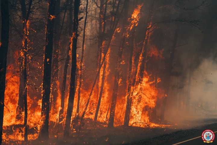 100-Acre Wildfire In Wharton State Forest Spotted By Private Aircraft ...
