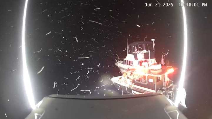 25 People Rescued After Boat Runs Aground Near Eustasia Island | Essex ...