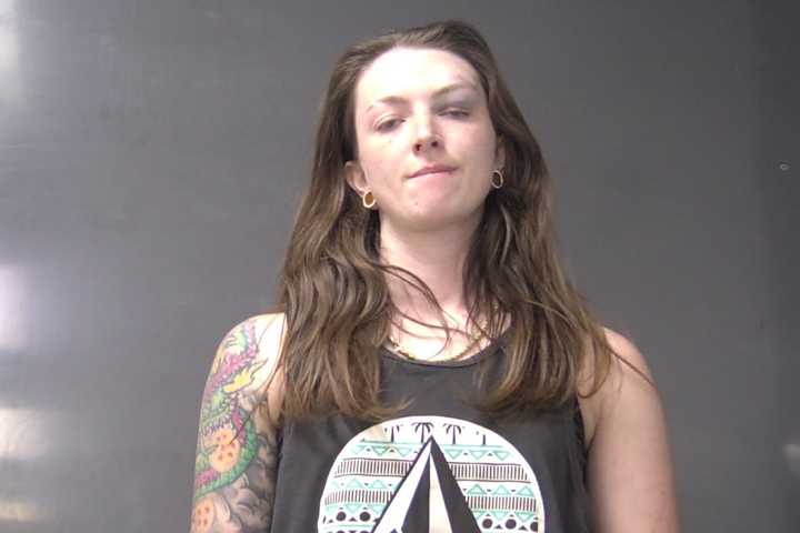 Child Safe After Attempted Kidnapping At Maryland 4H Fair; Bystanders ...