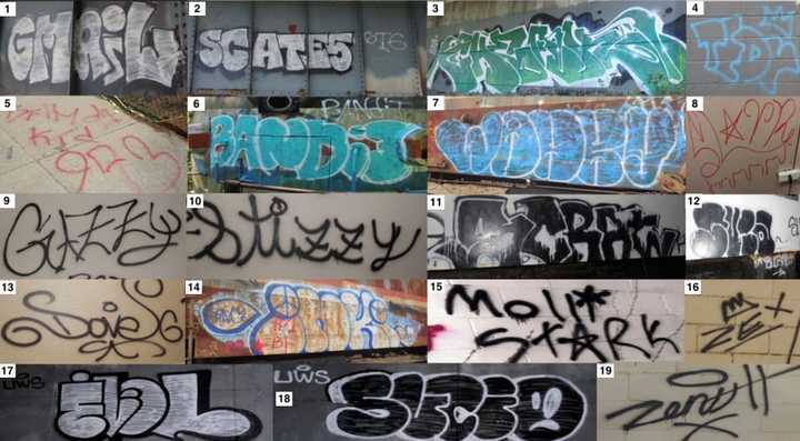 21 People Arrested After Graffiti Causes $500K Damage: Hanover Twp PD ...