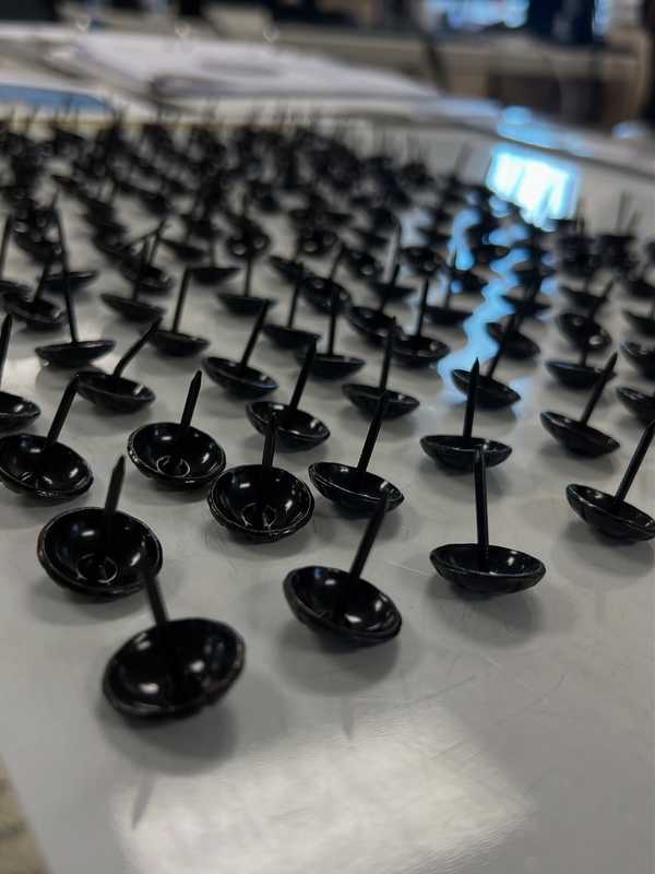 Madison Daily Voice | Your Local News for Madison and Harding, New Jersey