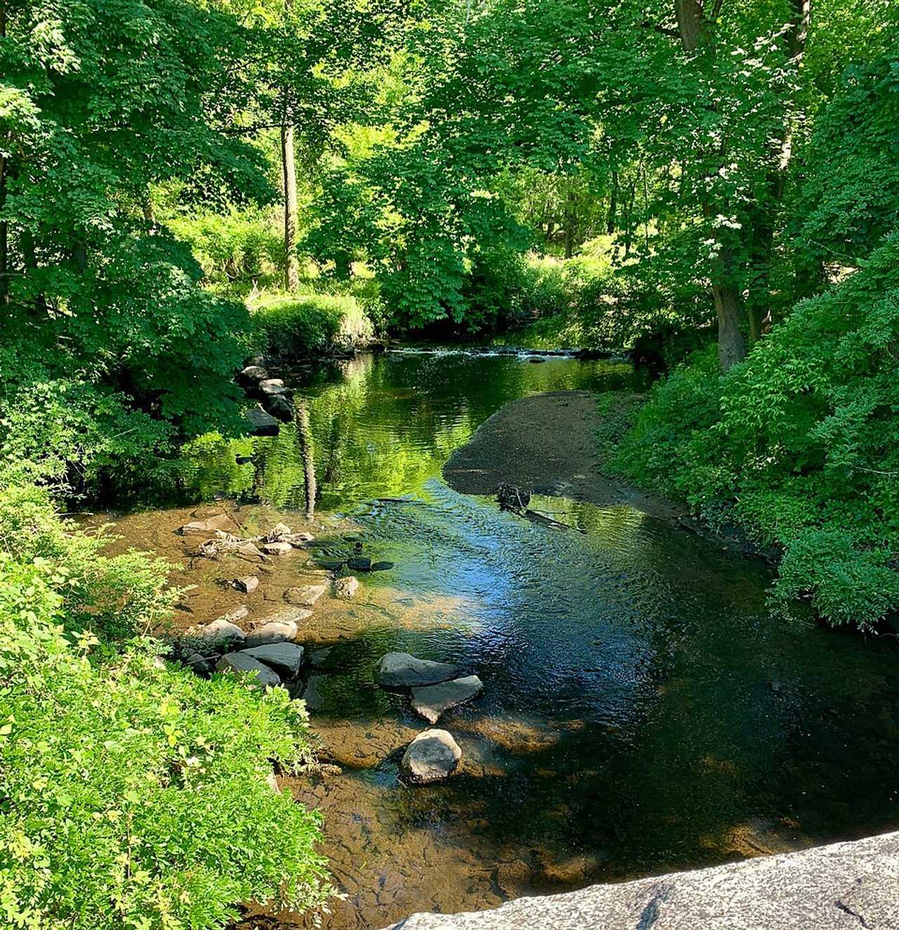 $21M Lifeline Going To Storm-Struck Westchester Towns For Flood Relief ...