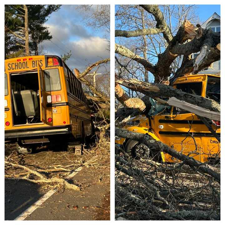 11 Kids Hurt After Tree Falls On Tewksbury School Bus: Whitehouse ...