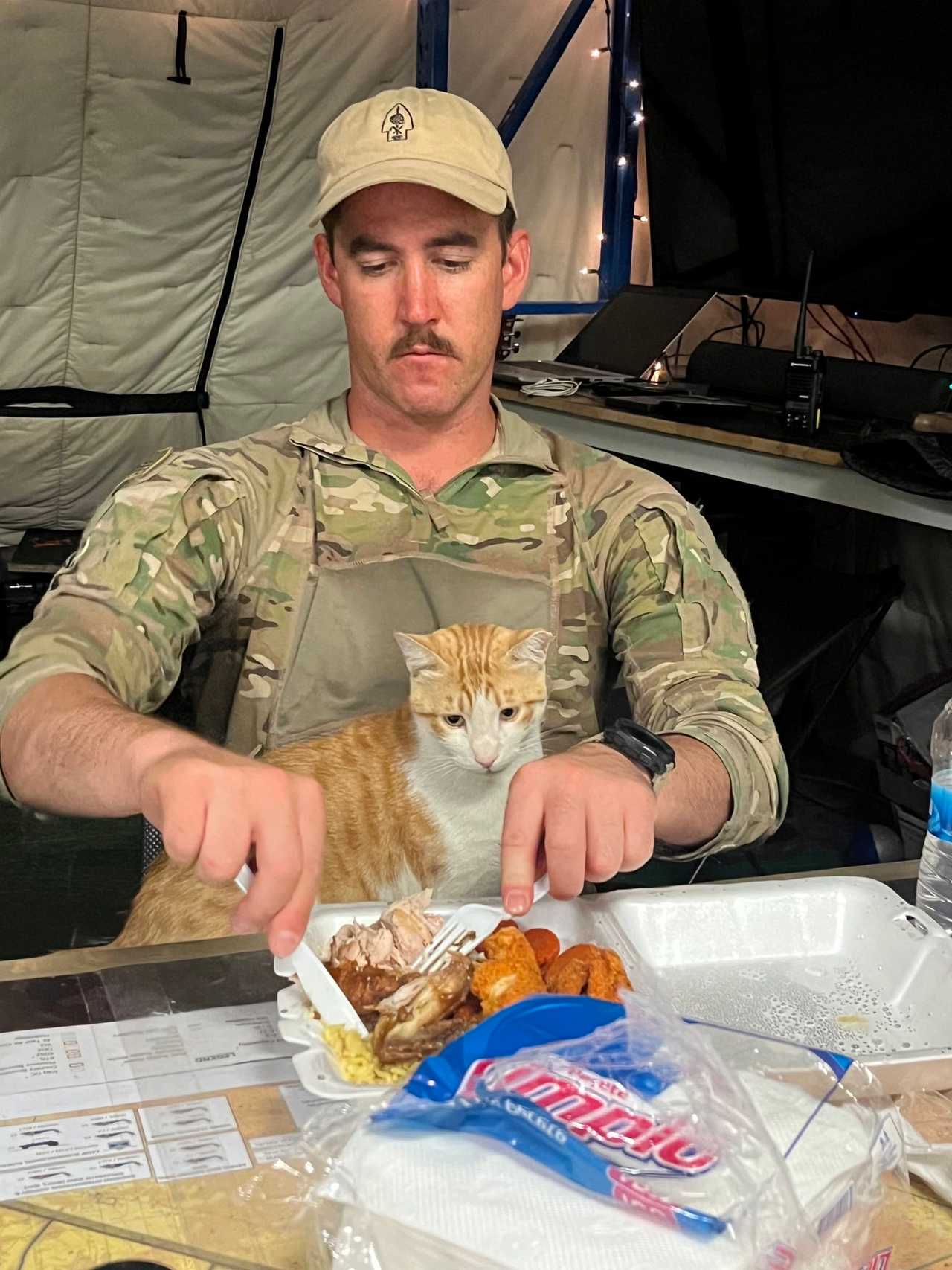 'We Survived Together': Mass. Iraq Veteran Rescues Cat From Deployment ...