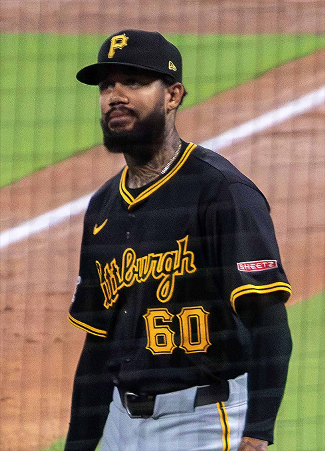 Video: MLB Pitcher Lunges At Heckling Fan During Game | Yorktown Daily ...