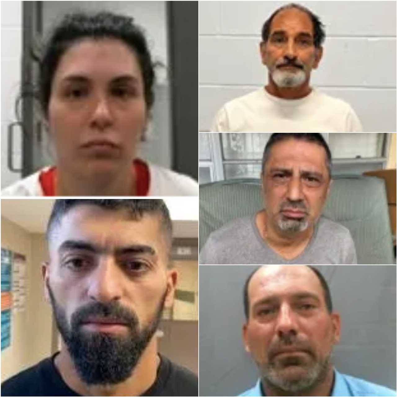 ICE Arrests 11 Iranians As Sleeper Cell Threat 'Never Higher,' Feds Say ...