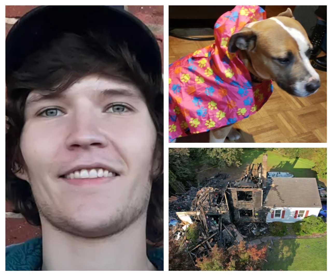 'Stayed By His Side Til The End': Dog Remained Loyal To Owner During ...