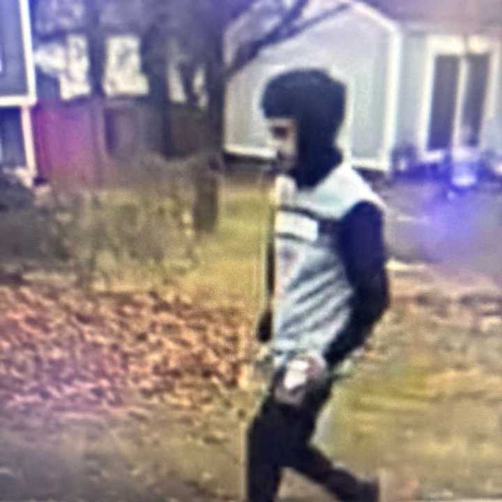 Released From Jail Day Before Killing, Reston Roommate Arrested After ...