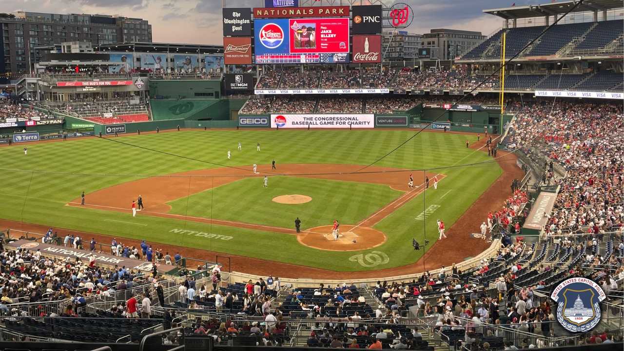 Protestors Don't Get Far Storming Field During Congressional Game At ...