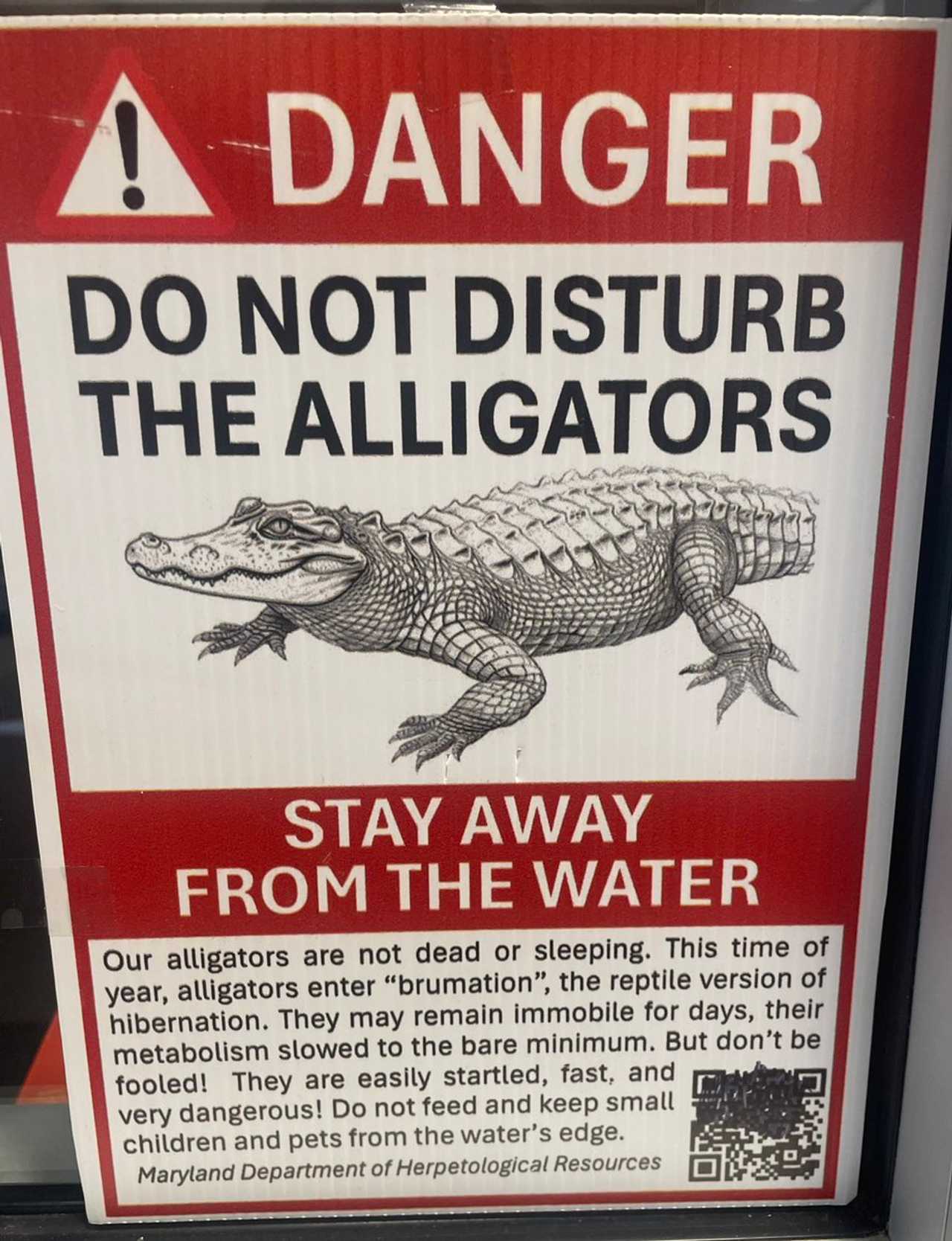 Alligators In Maryland? Prank Causes Stir Along Montgomery County Trail ...