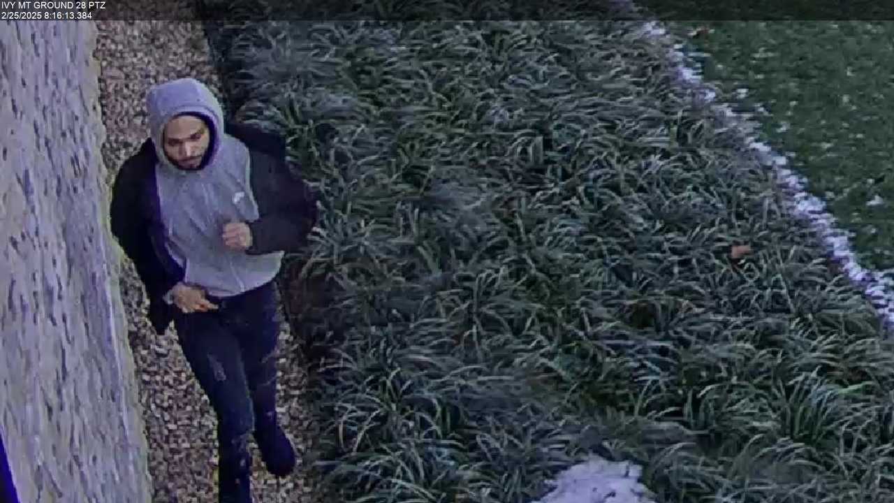 UVA Lockdown: Cops Search For Career Criminal (Updated) | Fairfax Daily ...