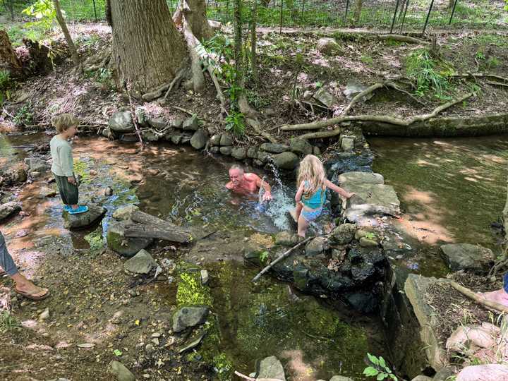 RFK Jr. Posts Pics Of Family In Rock Creek, Where Swimming Is Banned ...