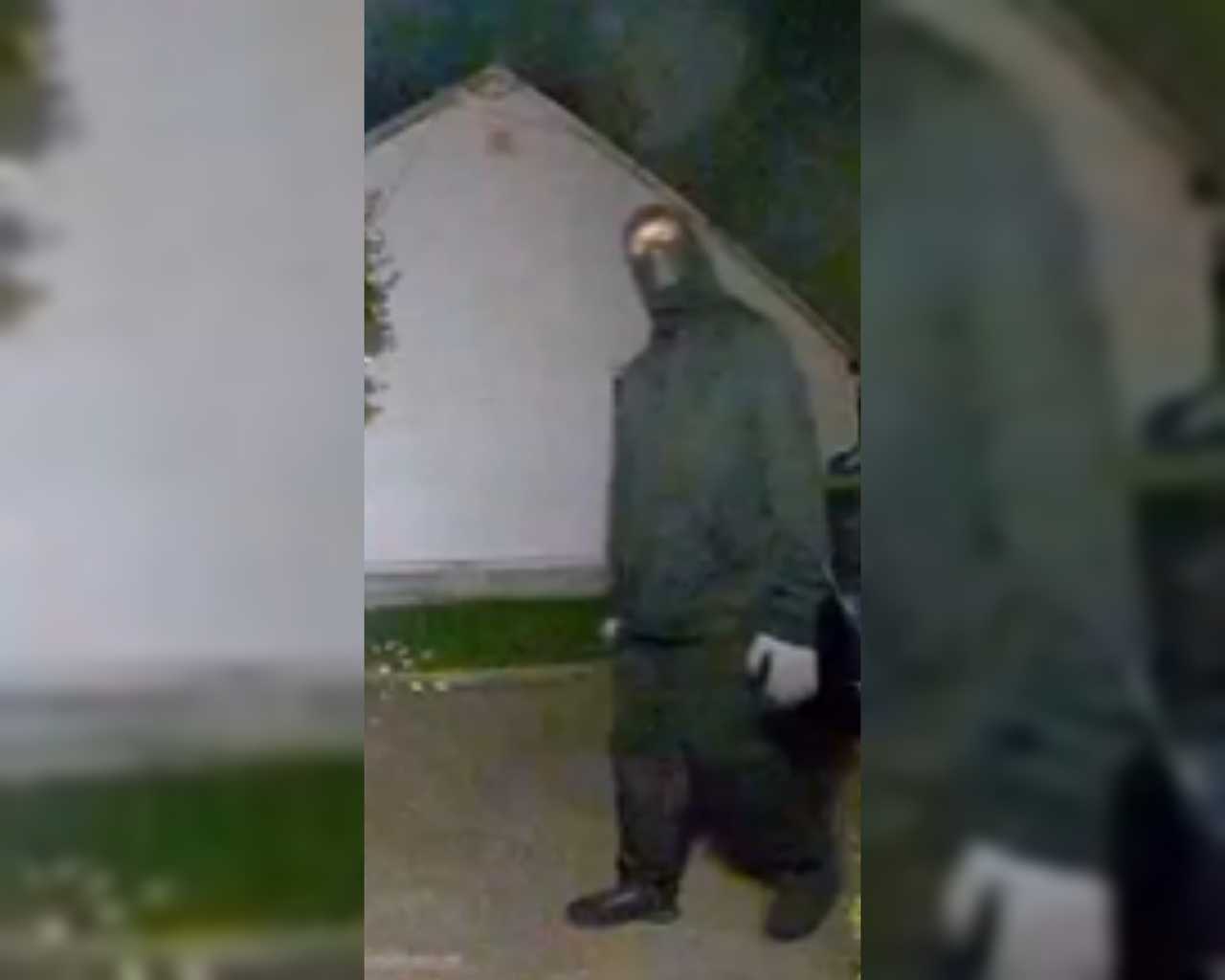 Masked Burglar Creeps Into Baldwin Home, Flees With Tote Bag: Nassau ...