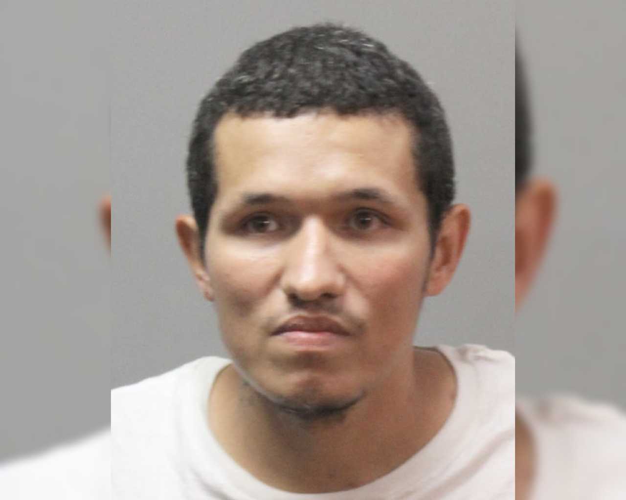 Brazen Bronx Man Tried To Snatch Necklace, Car Keys From Nassau County ...