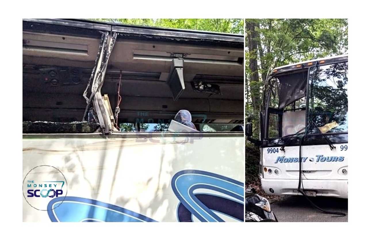 Update: 2 Girls Airlifted After Tree Limb Smashes Through Tour Bus At ...