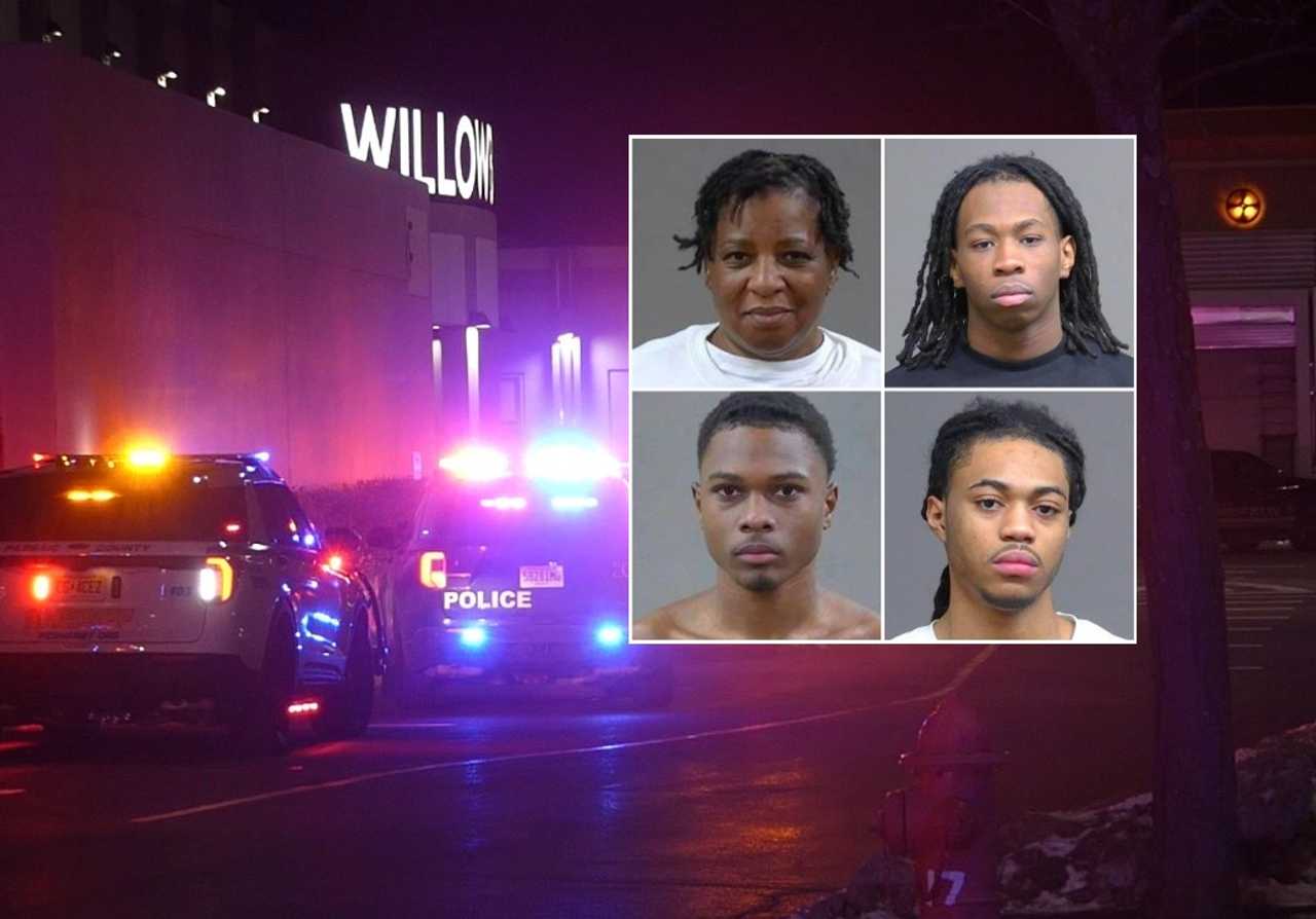 7 Arrested In Willowbrook Mall Shooting, Cops Say (Update ...