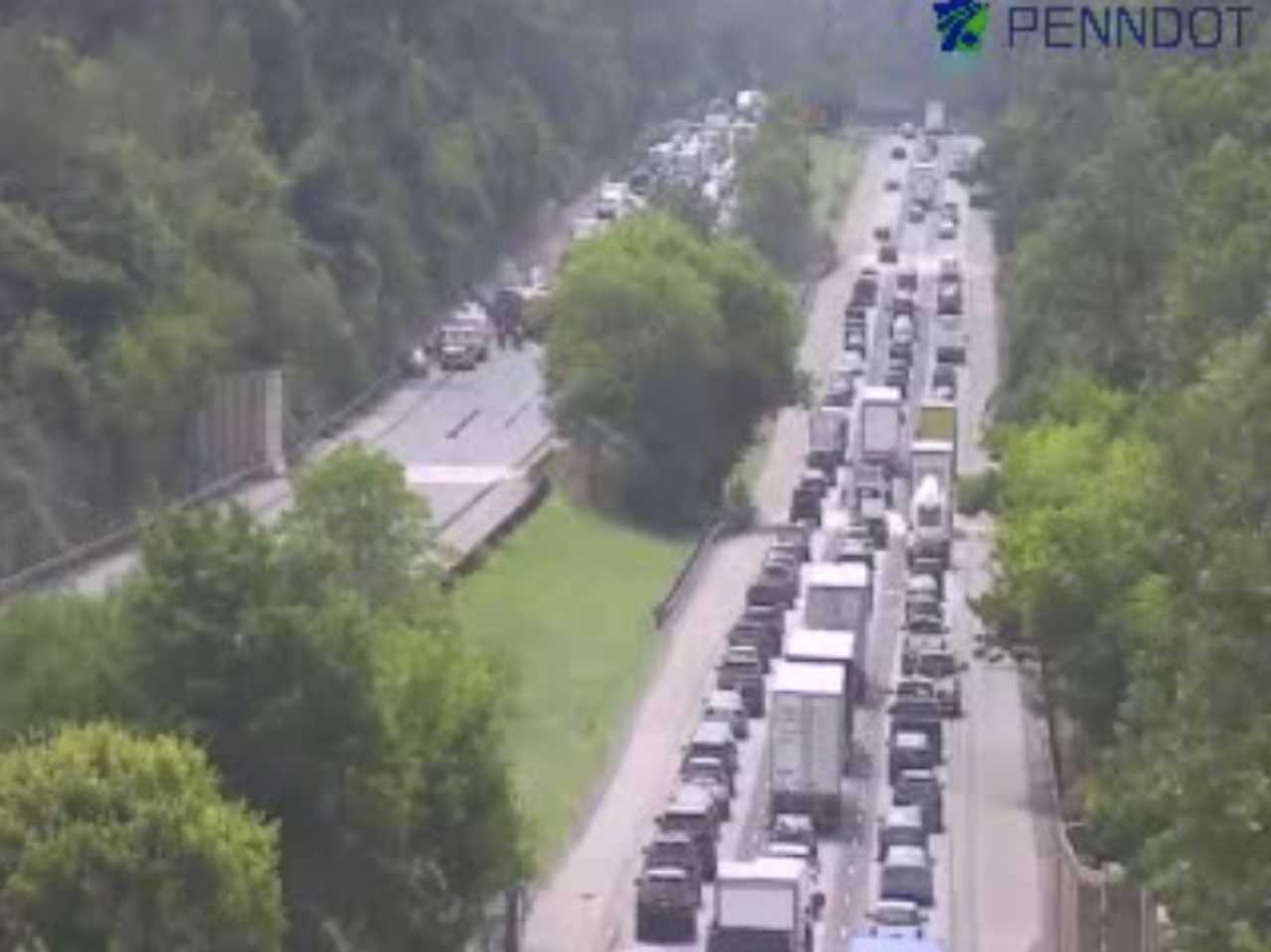 Car Hit By Falling Tree On I-476 In Delco: Police | Springfield ...