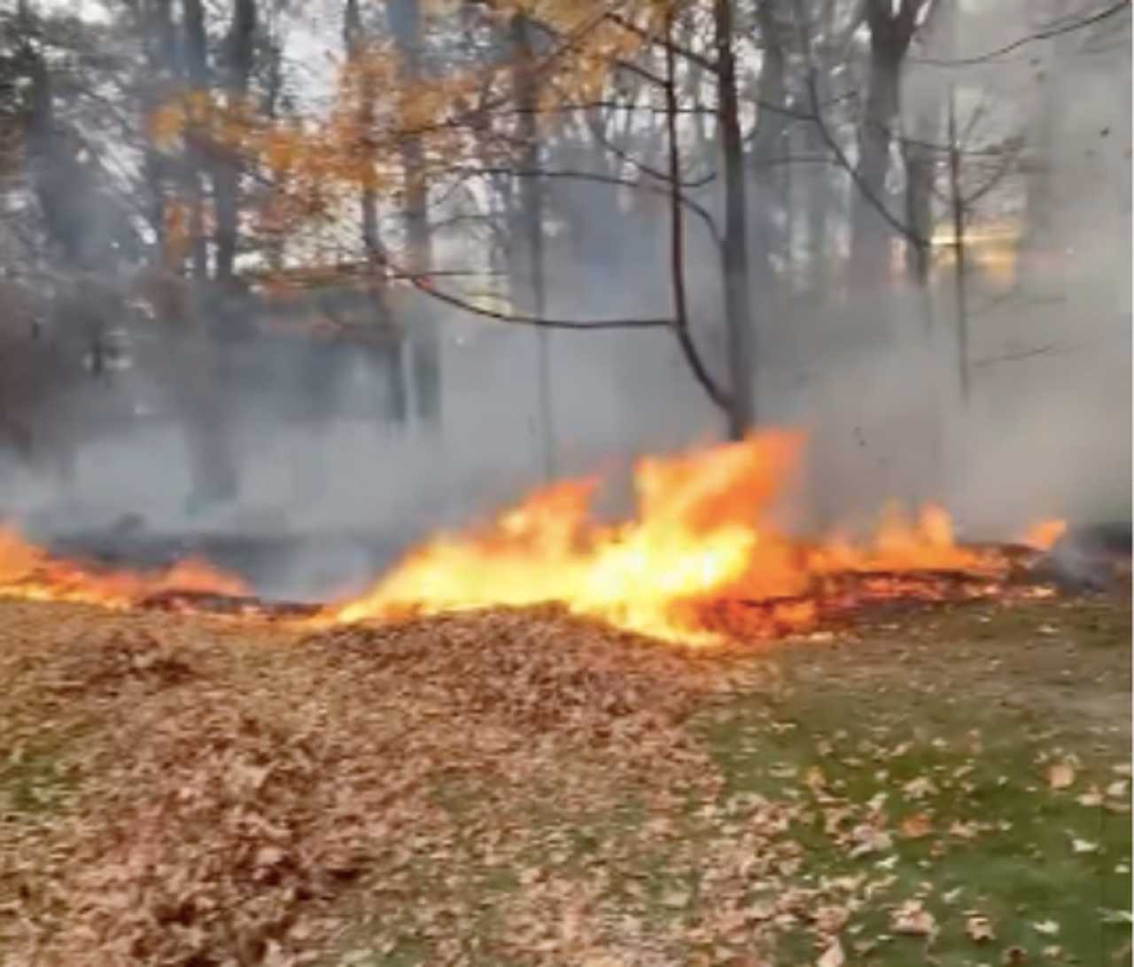Brush Fire Breaks Out In Bergen County Yard | Ridgewood Daily Voice