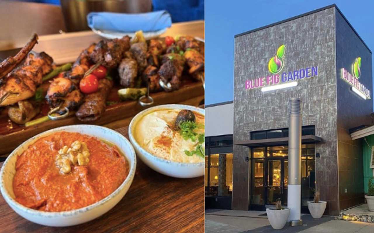 Mediterranean Gem Blue Fig Garden Opens 2nd Location At NJ Mall ...