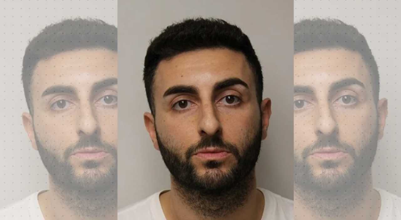 'You're Dead:' Tesla Driver Who Hit Minivan With Baseball Bat ...