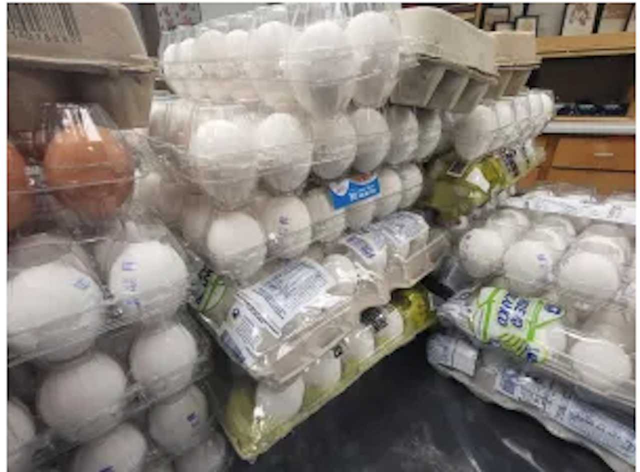US Cracking Down On Egg Smuggling From Mexico As Prices Soar | Harvard ...