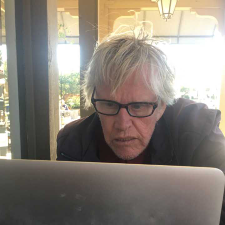 Gary Busey Pleads Guilty In NJ Horror Film Convention Groping Case ...