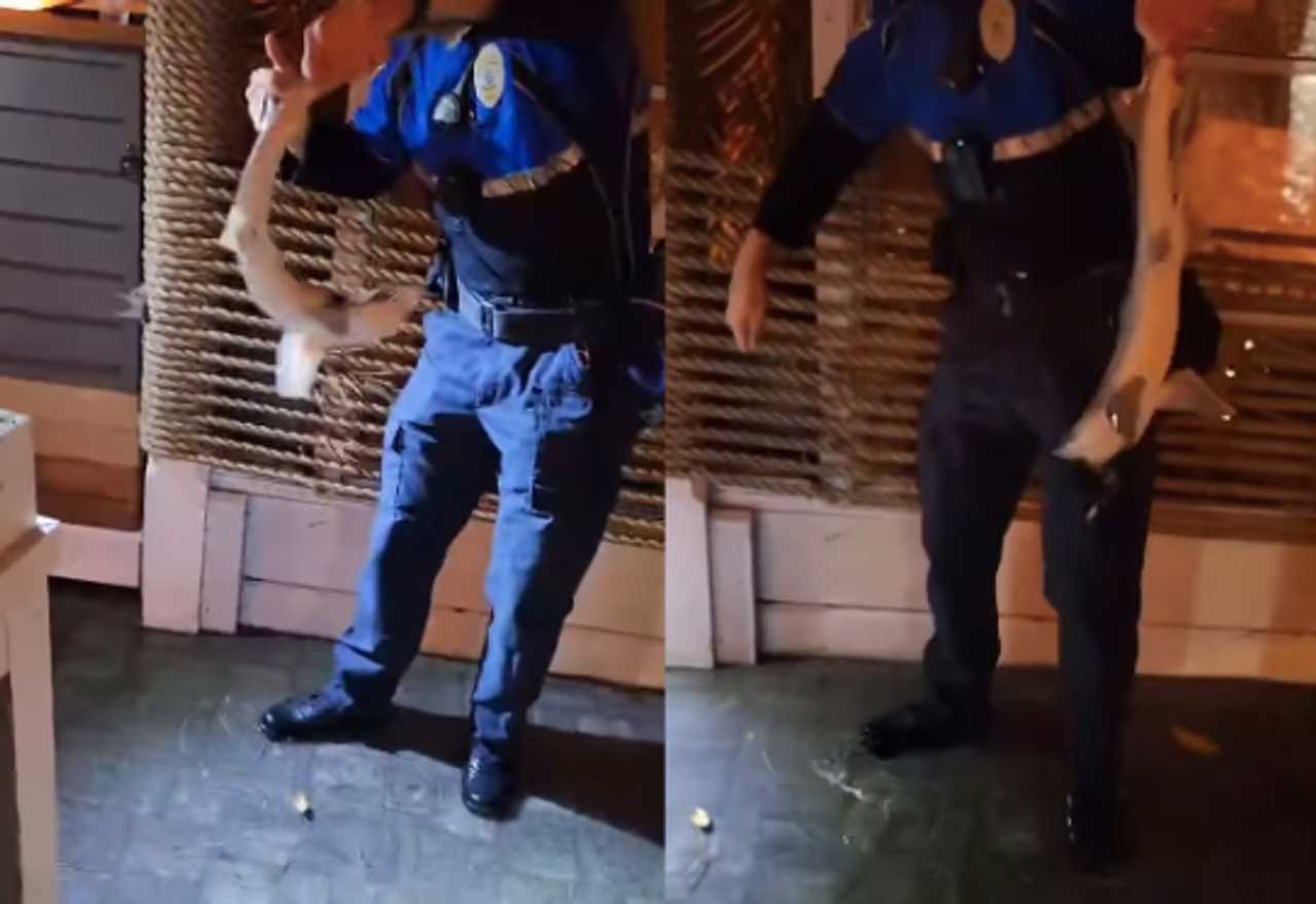 Video: Shark Shows Up At Bird & Betty's During Hurricane Erin — And Won ...