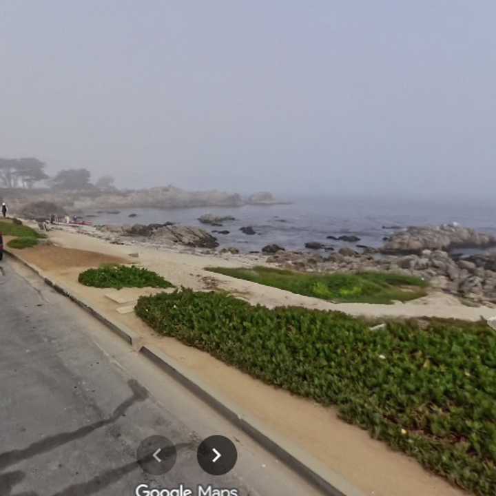 Woman In Suspected Shark Attack Went Missing While Swimming With Group ...