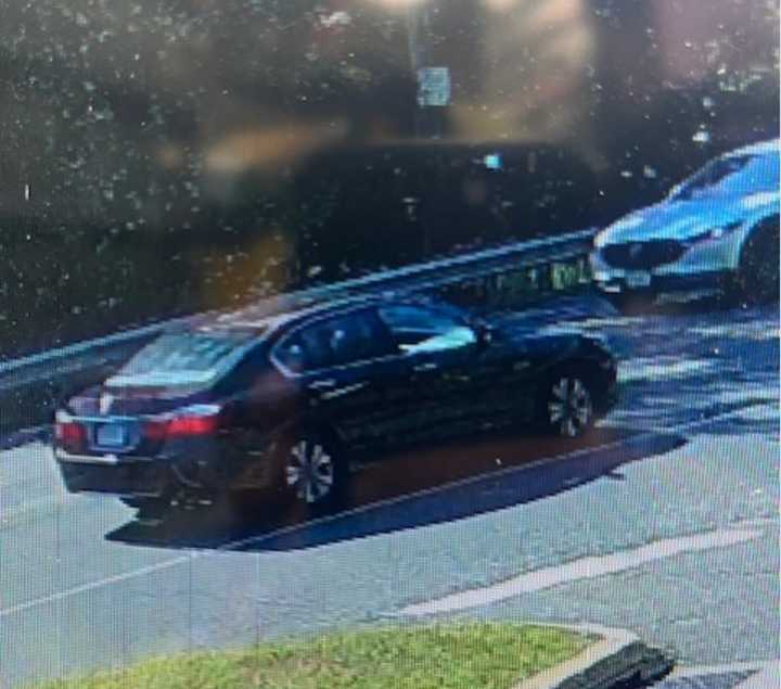 Ct Woman Throws 2 Kittens Out Of Car Police Looking For Witness Cops