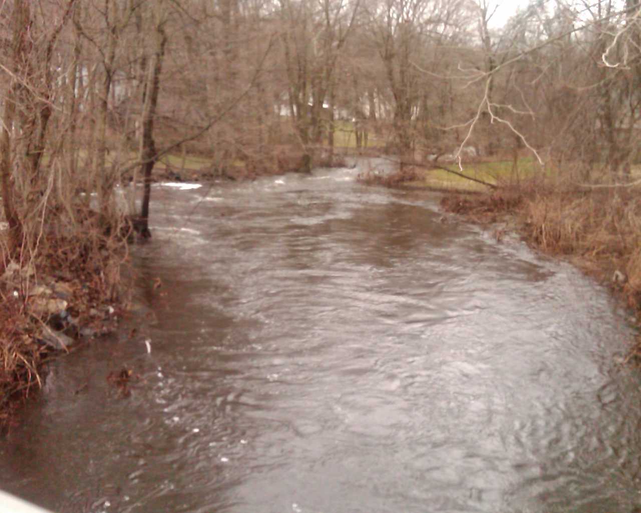 Woman, Dog Swept Away By Flood Waters In Fairfield County Rescued By ...